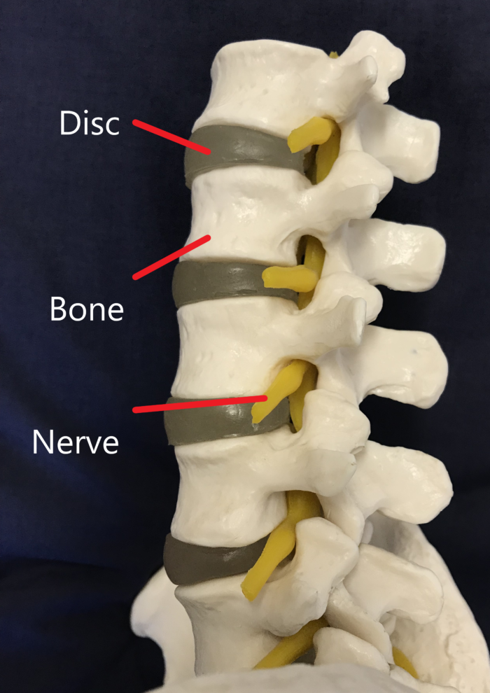 Back pain - Ashby Clinic